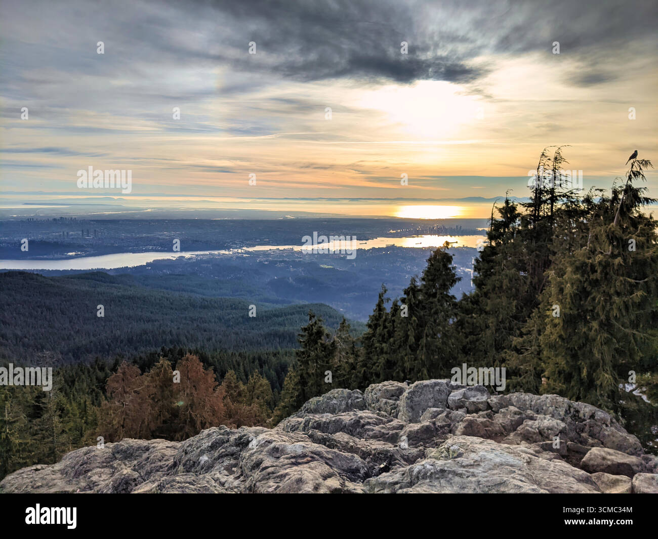 Soft fog light Stock Vector Images - Alamy