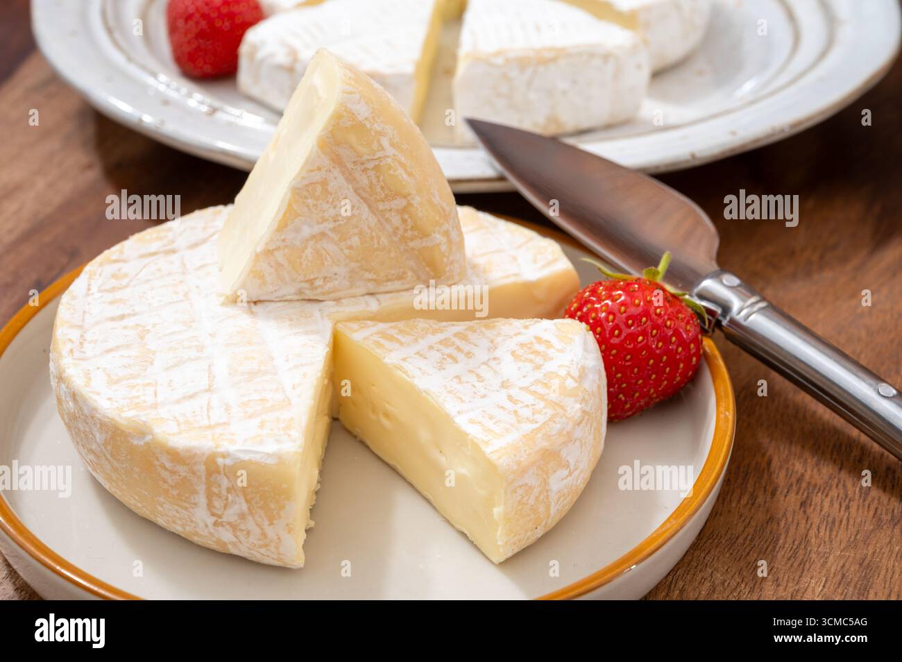 French soft cheeses collection, creamy matured cow's milk cheese le ...