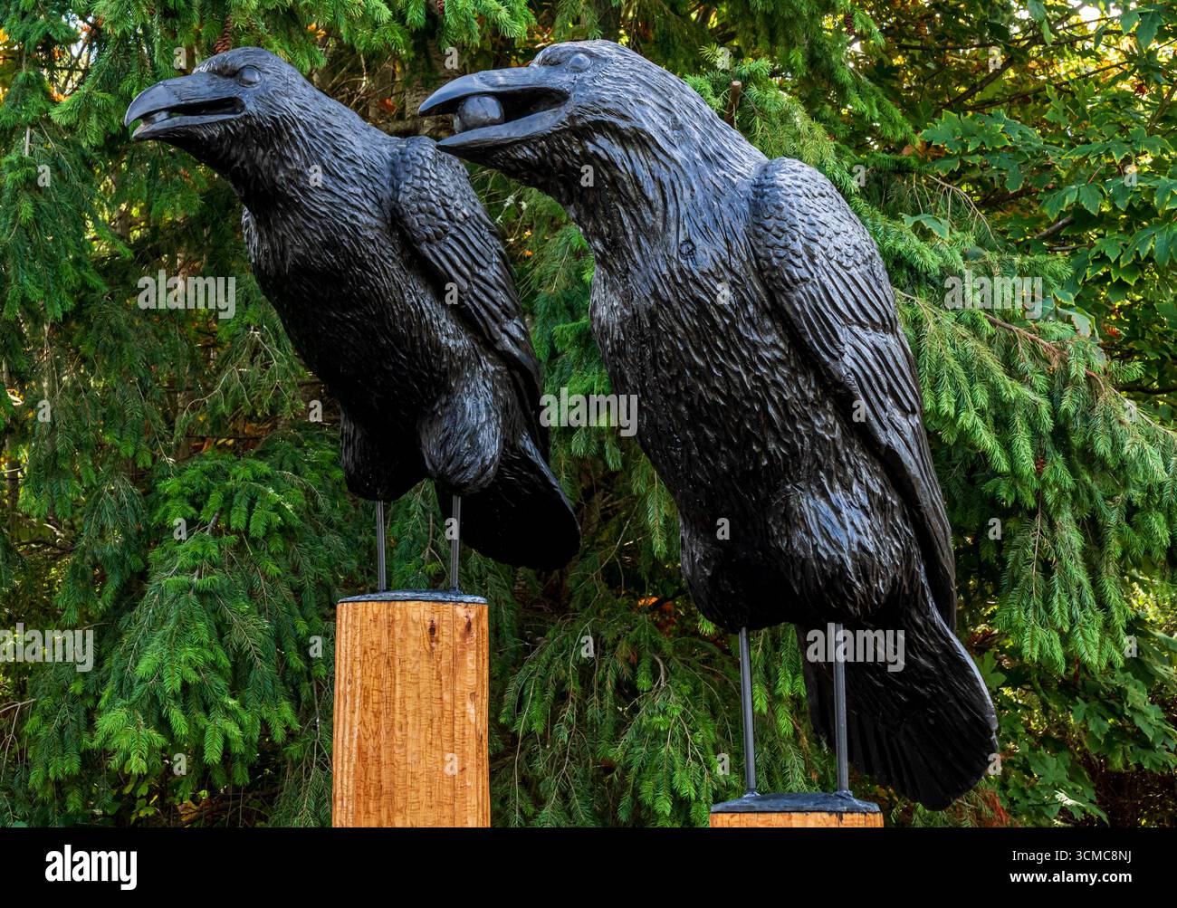 Indigenous carved Ravens by the Henderson family carvers, Kwakiutl ...