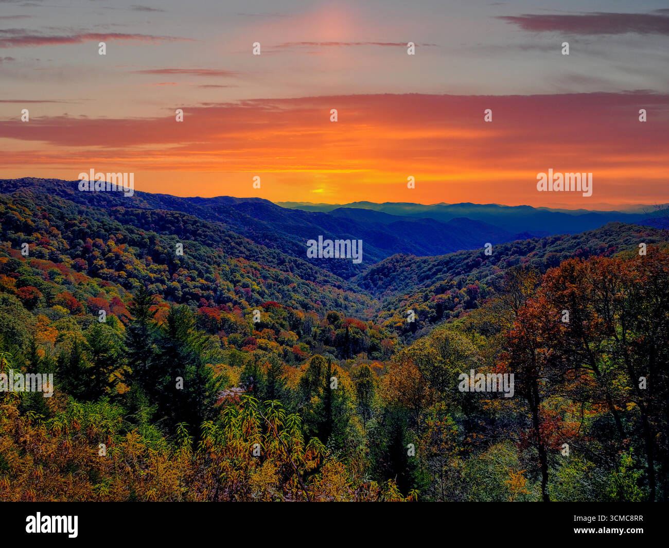 Spring landscape national park Stock Vector Images - Alamy