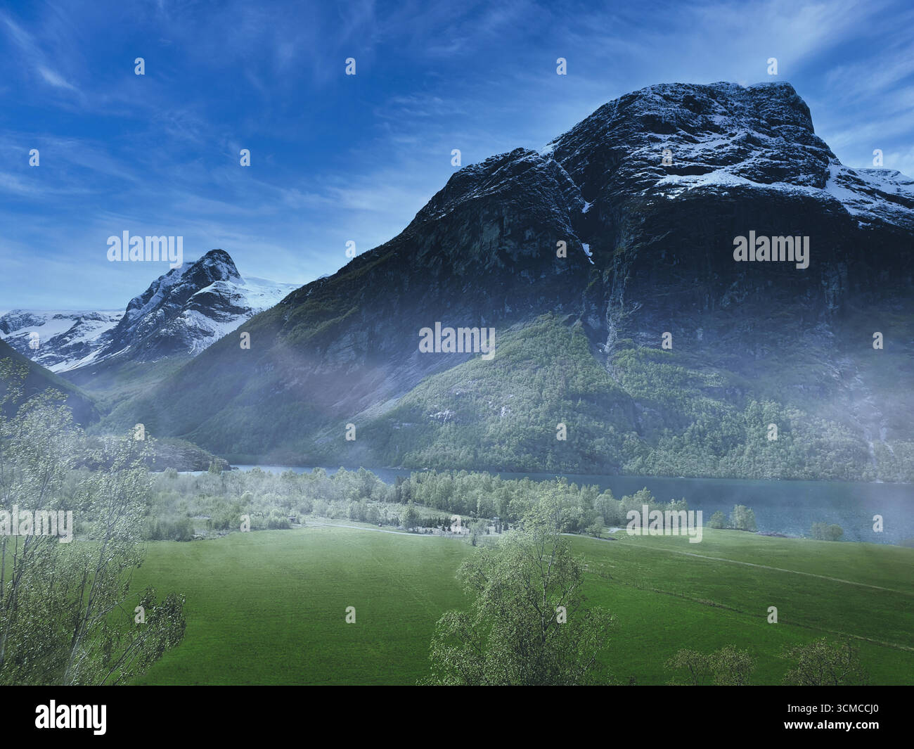 Fog morning sunrise trees Stock Vector Images - Alamy