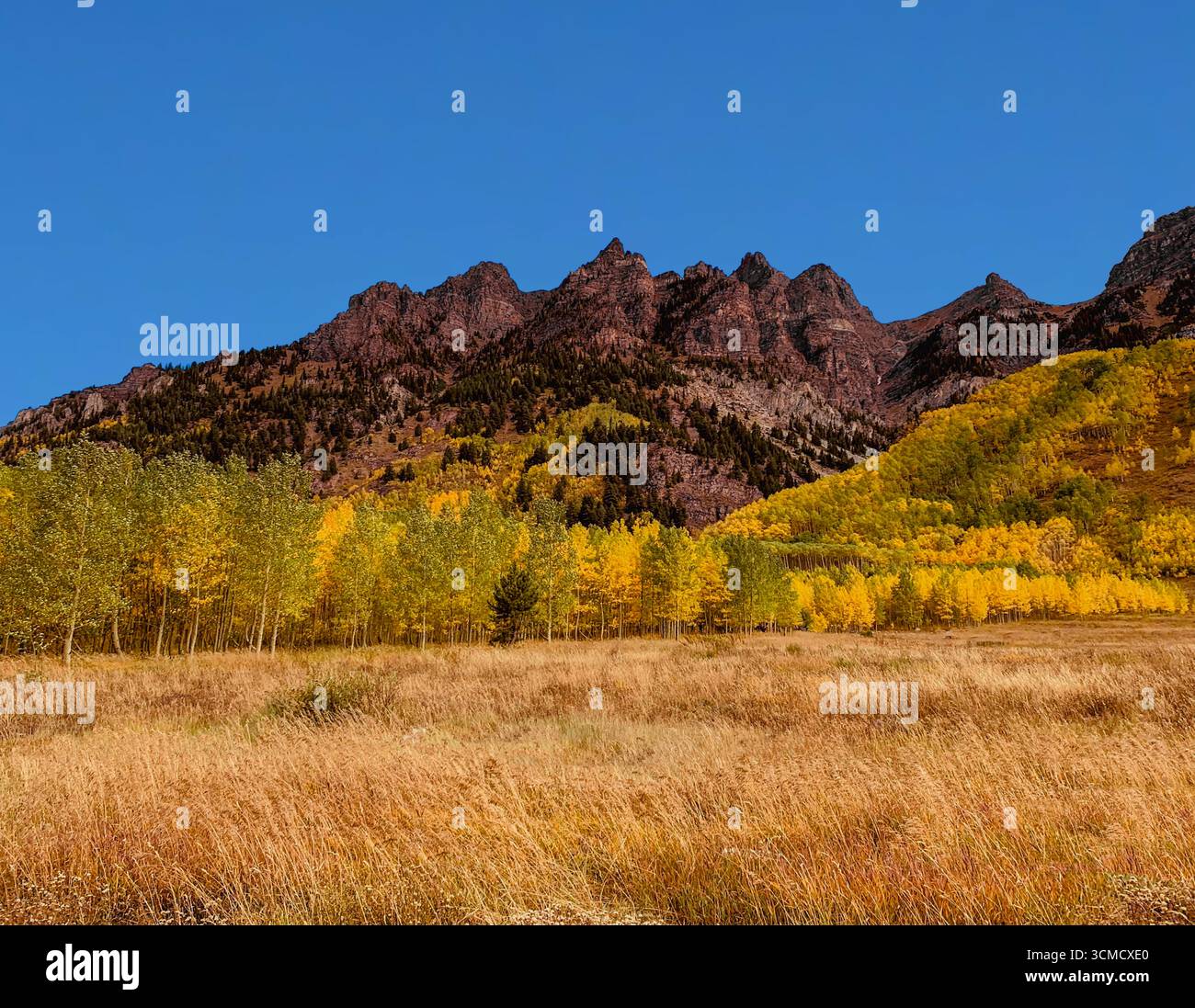 Scenic view peak autumn Stock Vector Images - Alamy