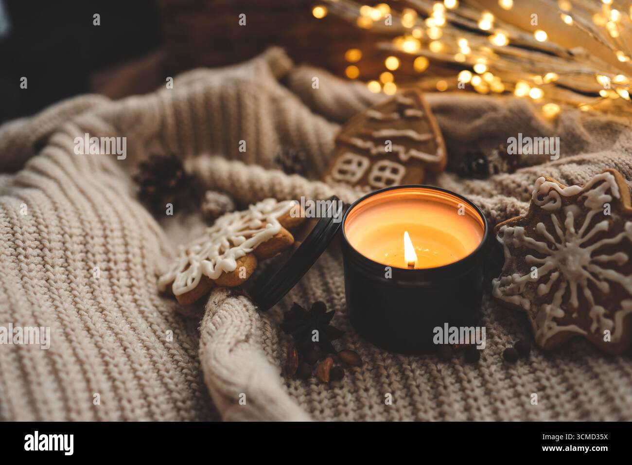 Beautiful gingerbread house cookies hi-res stock photography and images ...