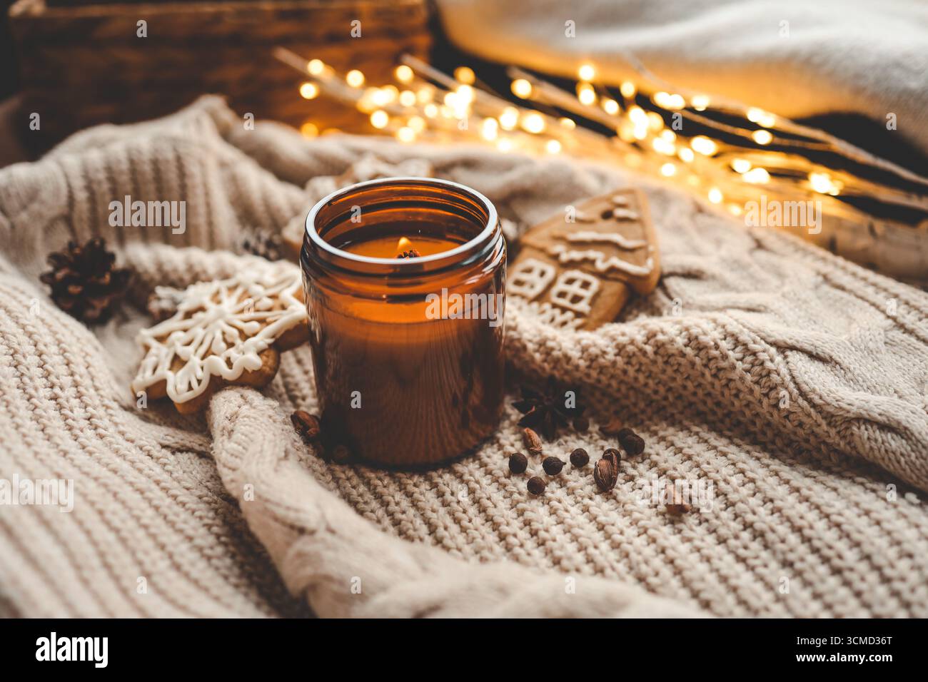 Beautiful gingerbread house cookies hi-res stock photography and images ...