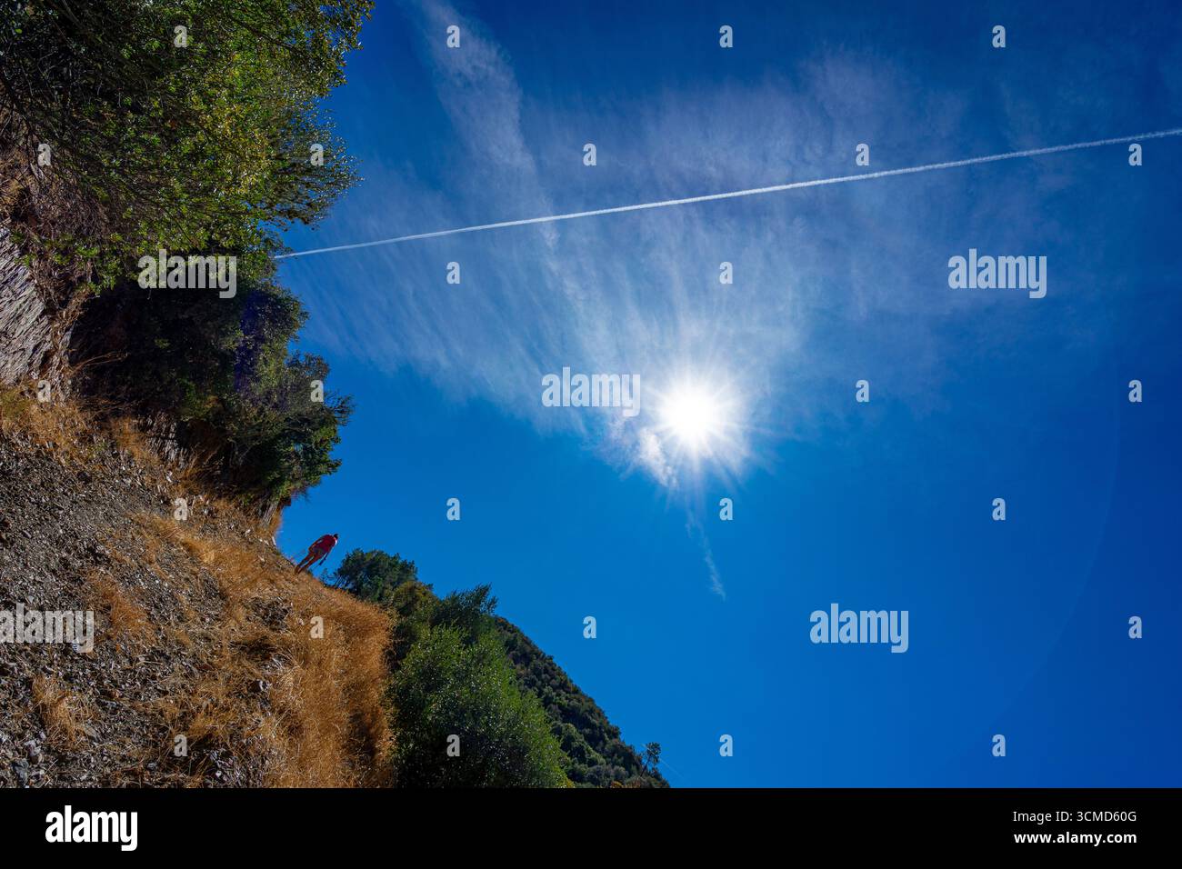 Blue sky with strong sun and trail of commercial airplane Stock Photo ...
