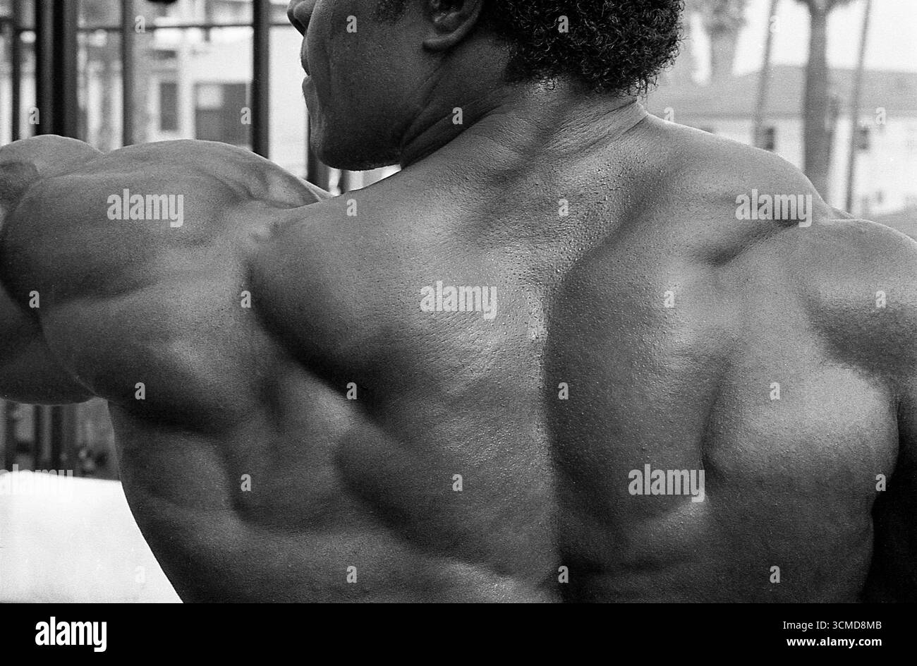 Professional bodybuilder training in Los Angeles, CA, USA, 1984 ...