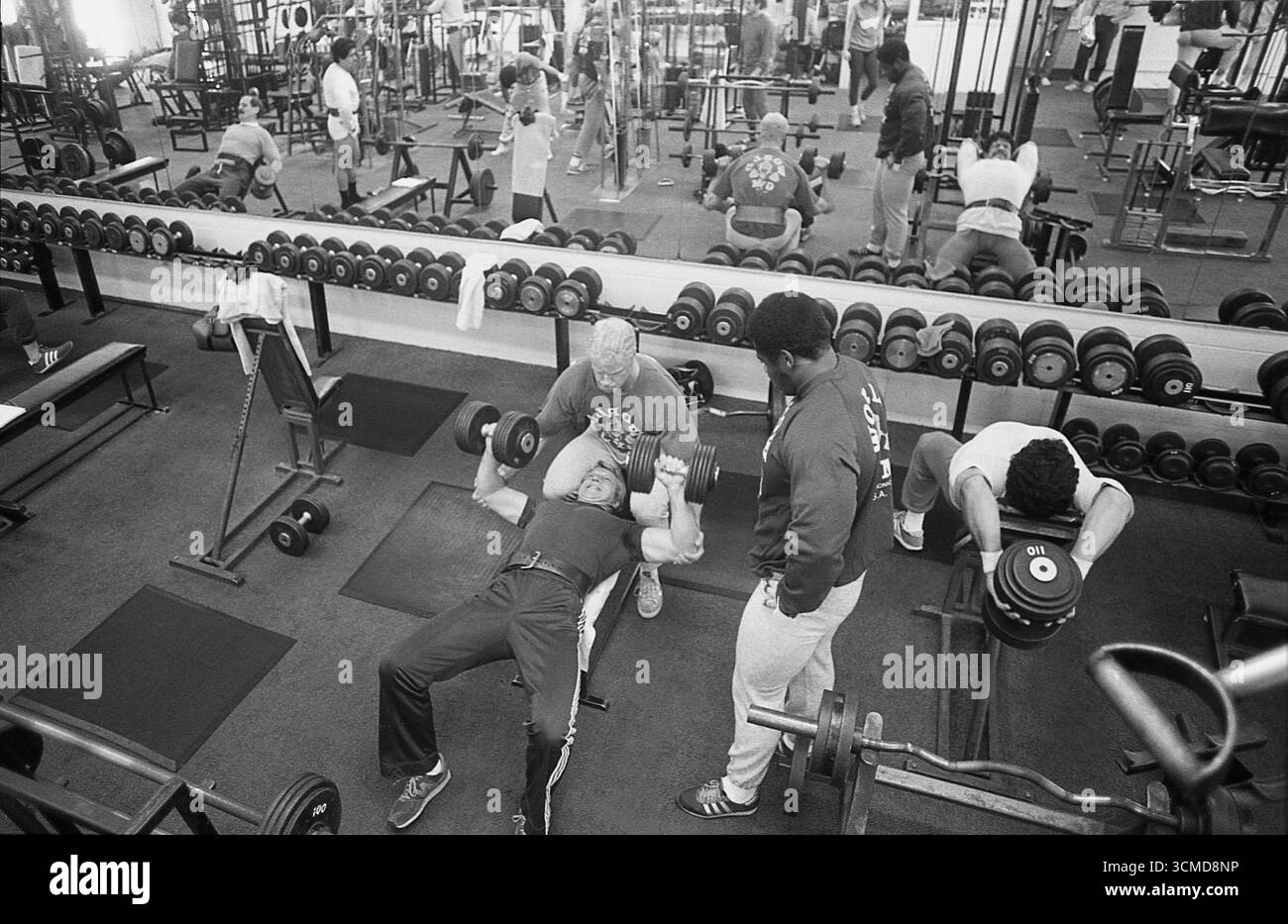 Professional bodybuilder training in Los Angeles, CA, USA, 1984 Stock ...
