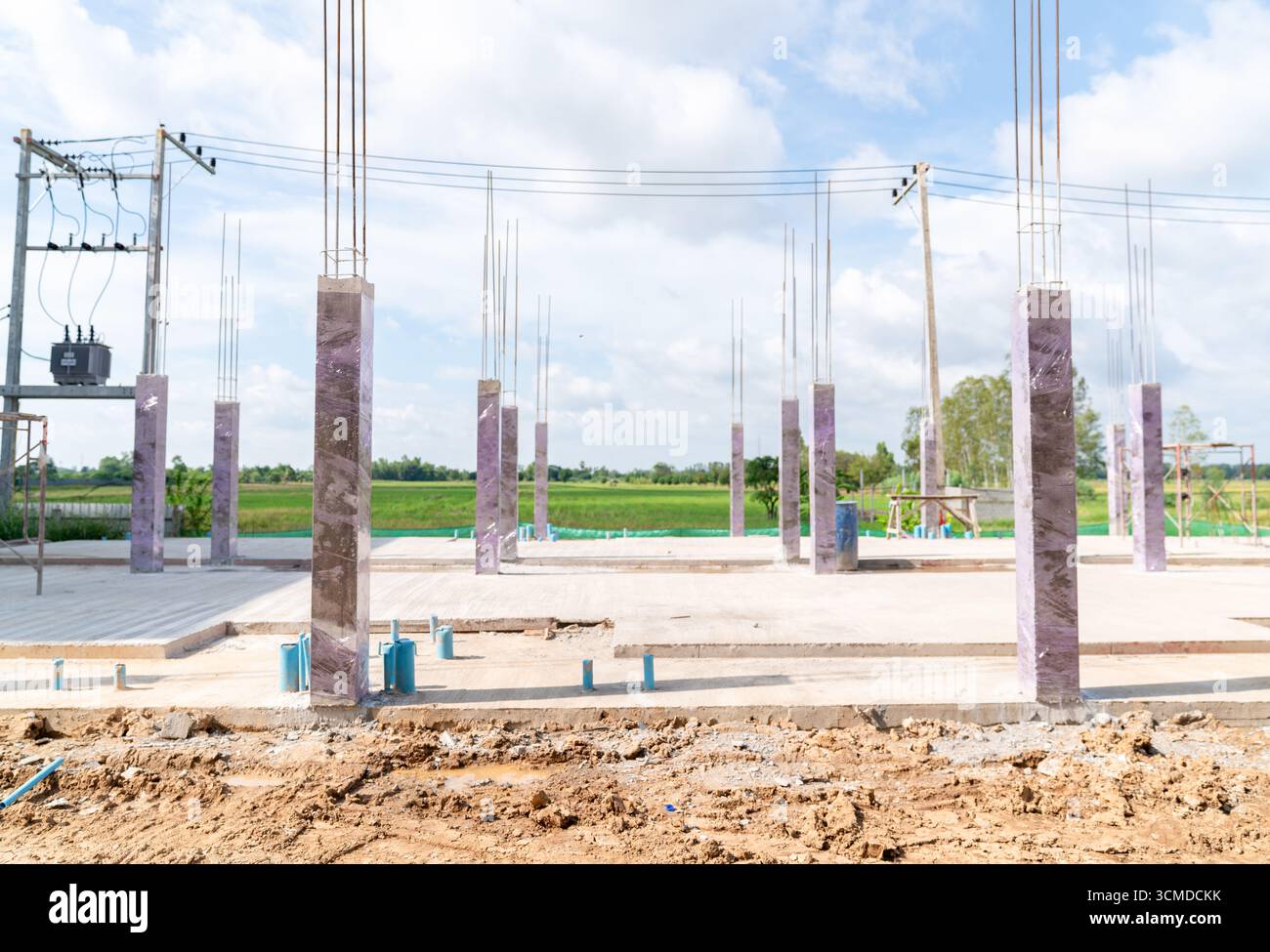 Stretche film is used to wrap the columns to retain moisture, allowing ...