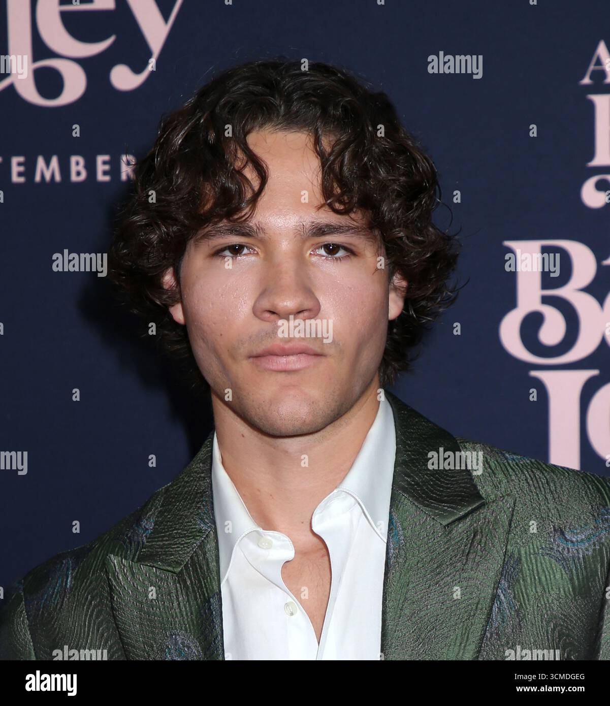 Simon Khan attending 'A Big Bold Beautiful Journey' New York Premiere ...