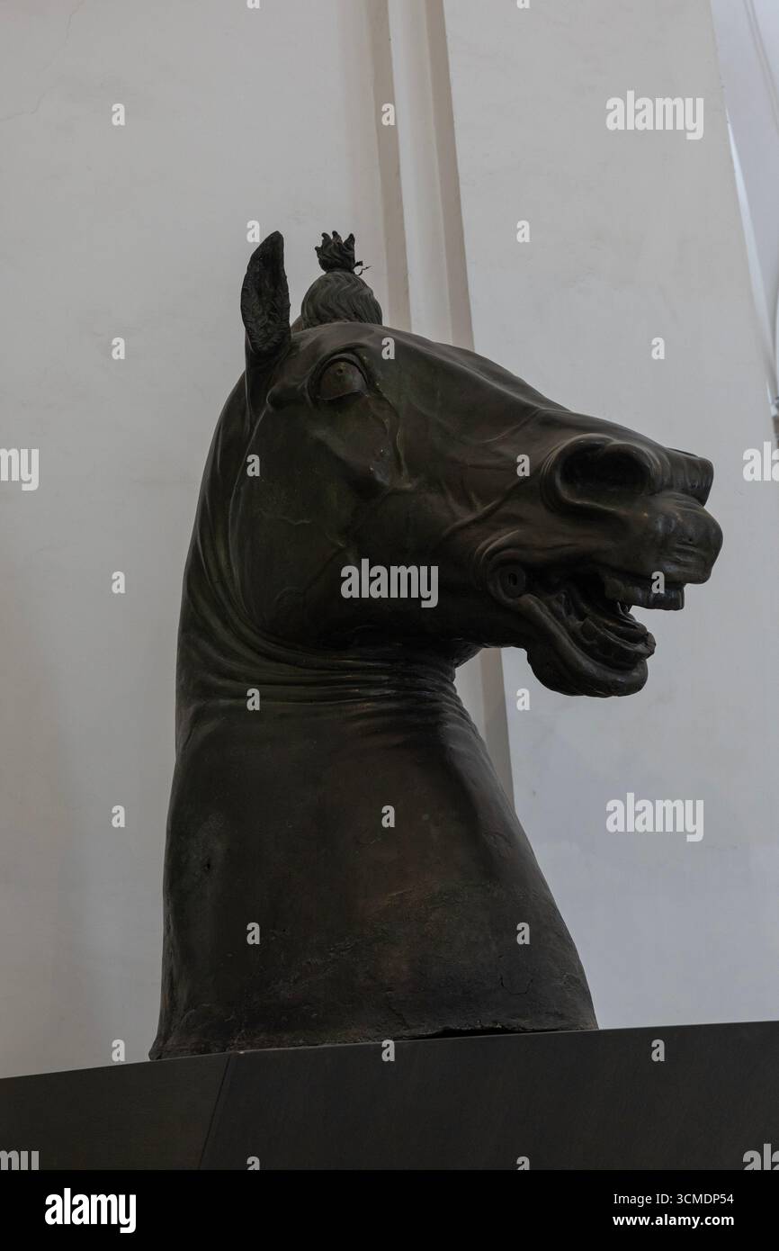 The Museum of Naples. Naples is the regional capital of Campania and ...