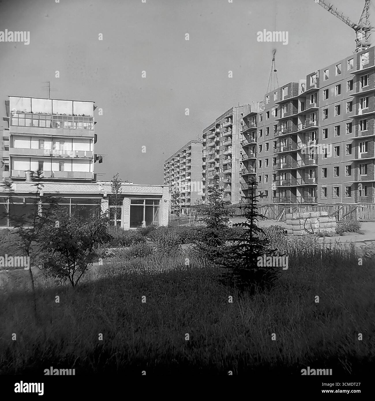This dynamic archival photograph from 1987 captures the process of mass ...