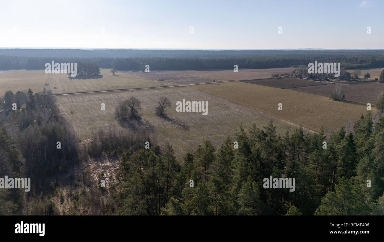 Expansive forest landscape featuring hi-res stock photography and ...