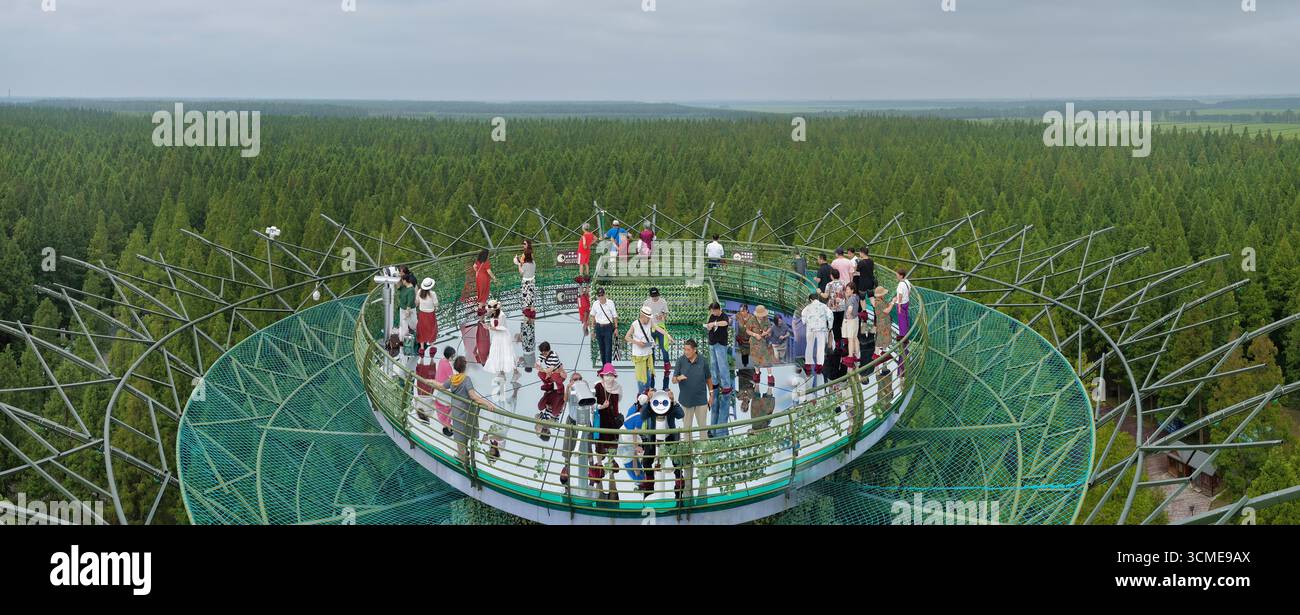 Tourists admire autumn scenery at a forest park in Yancheng City, east ...