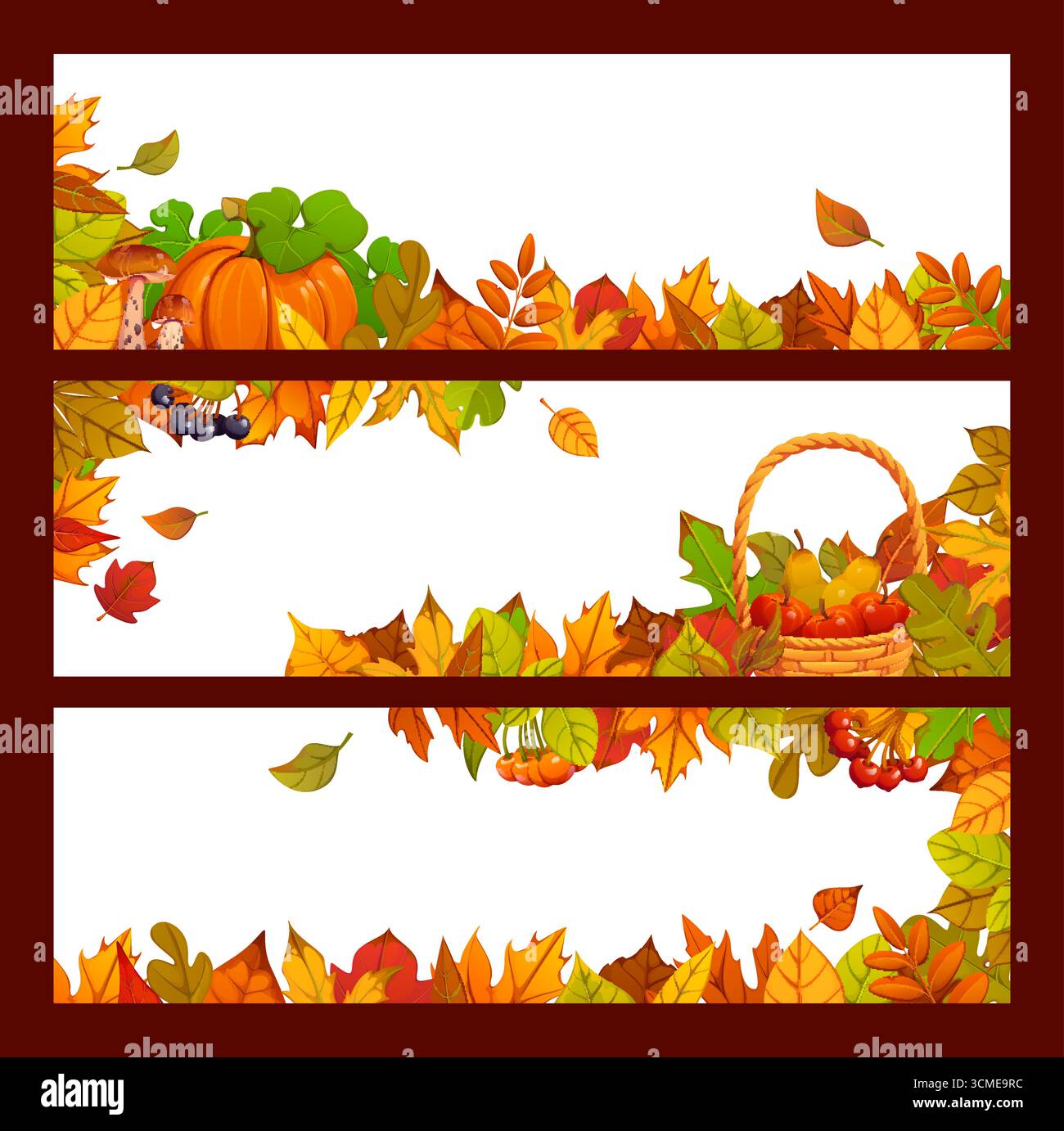 Seasonal fruit leaves cozy Stock Vector Images - Alamy