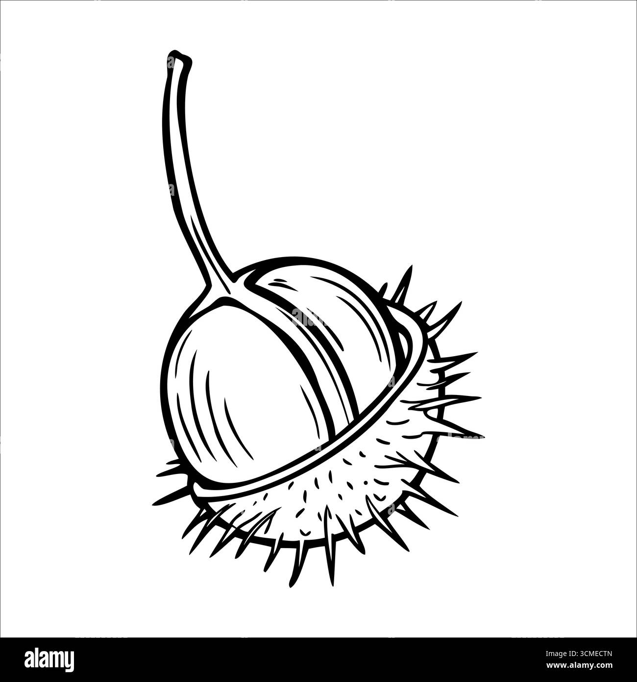 Outer surface of a tree Black and White Stock Photos & Images - Alamy