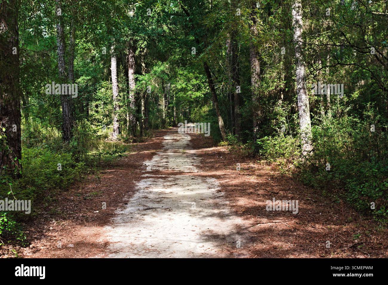 The Bay Trail, which winds around the lake, is a beautiful trail at ...