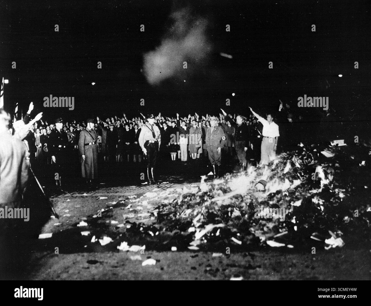 Nazi book burning in Berlin, 10 May 1933 Stock Photo - Alamy
