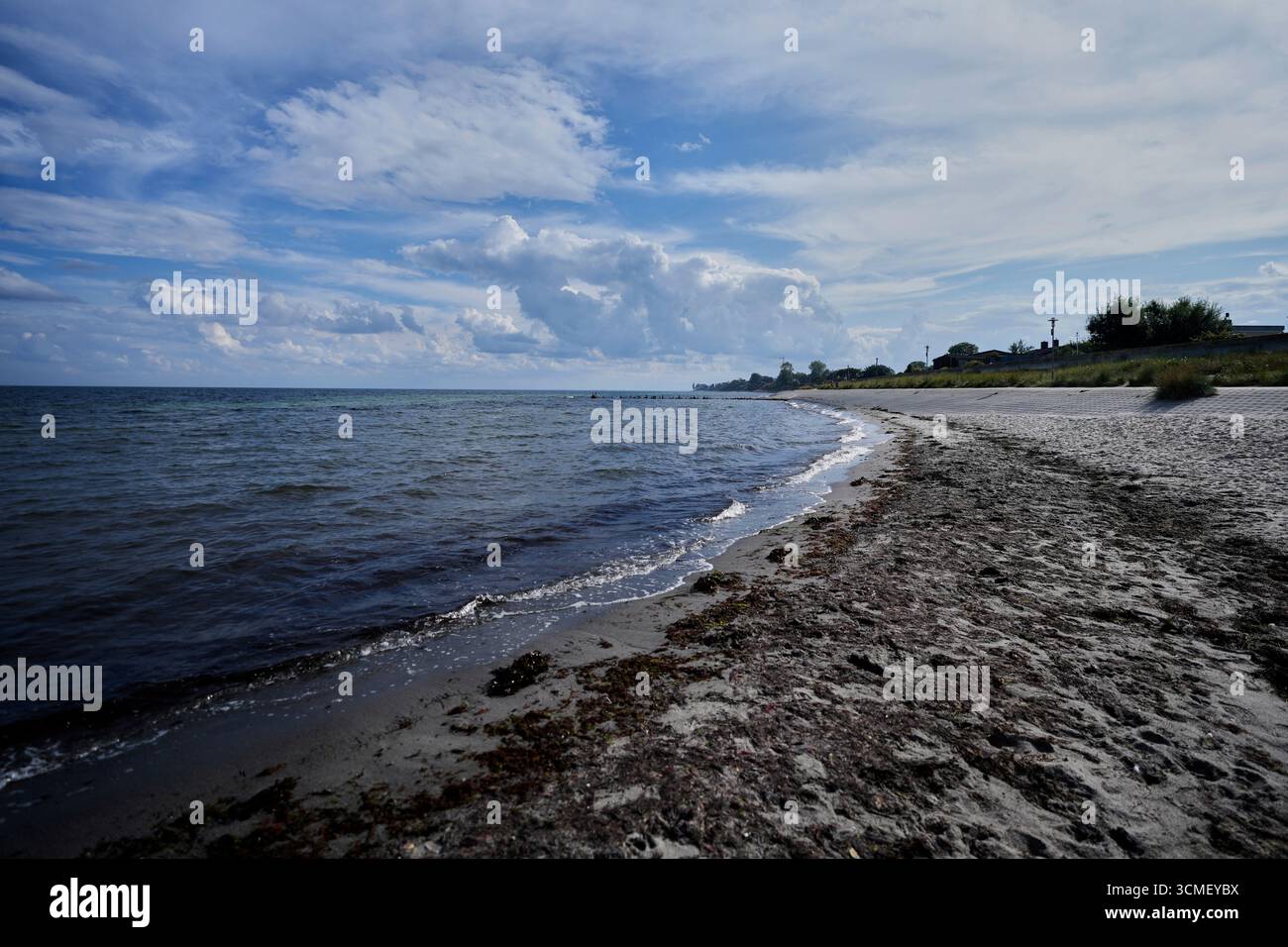 The beach is covered with seaweed at the Baltic resort of Dahme ...