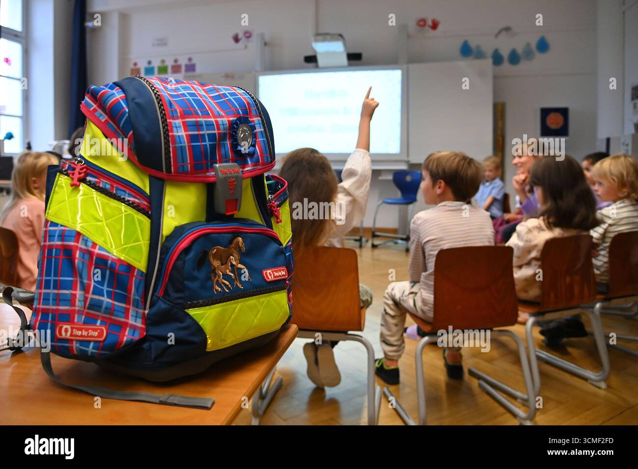 Second-grade class, children, students, class group, school bags, class ...