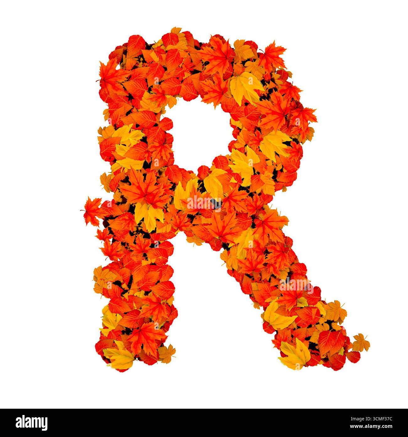 R fall hi-res stock photography and images - Alamy