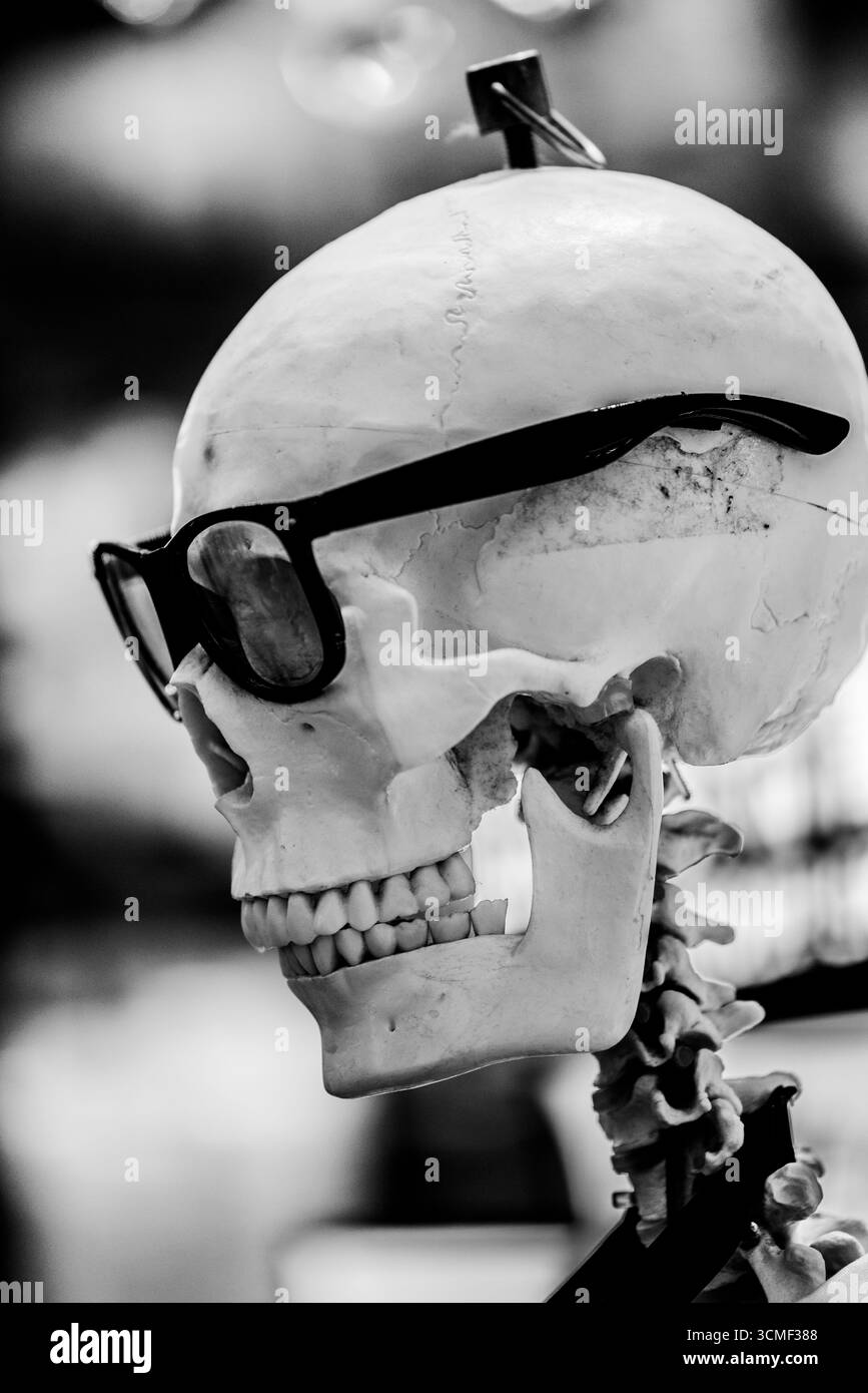 Model glasses Black and White Stock Photos & Images - Alamy