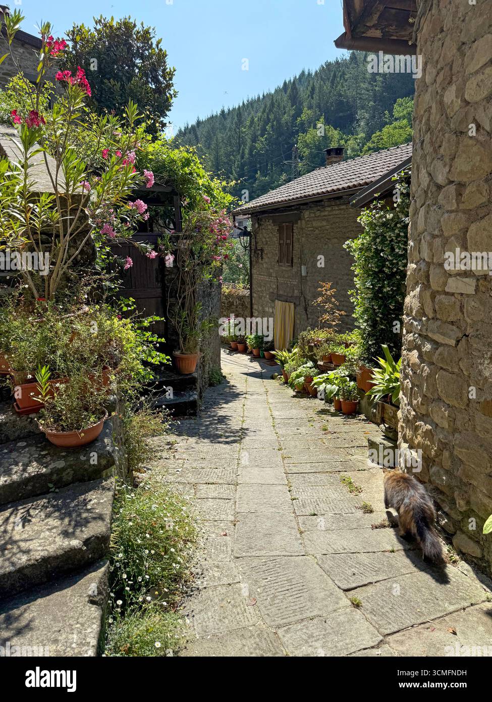 One of the narrow residential cobbled-stone medieval streets adorned ...