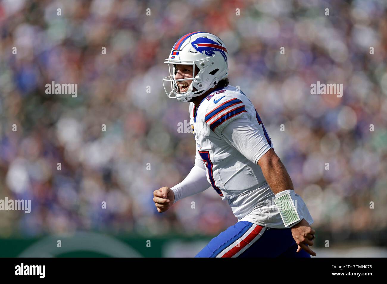 Buffalo Bills quarterback Josh Allen (17) reacts after a touchdown ...