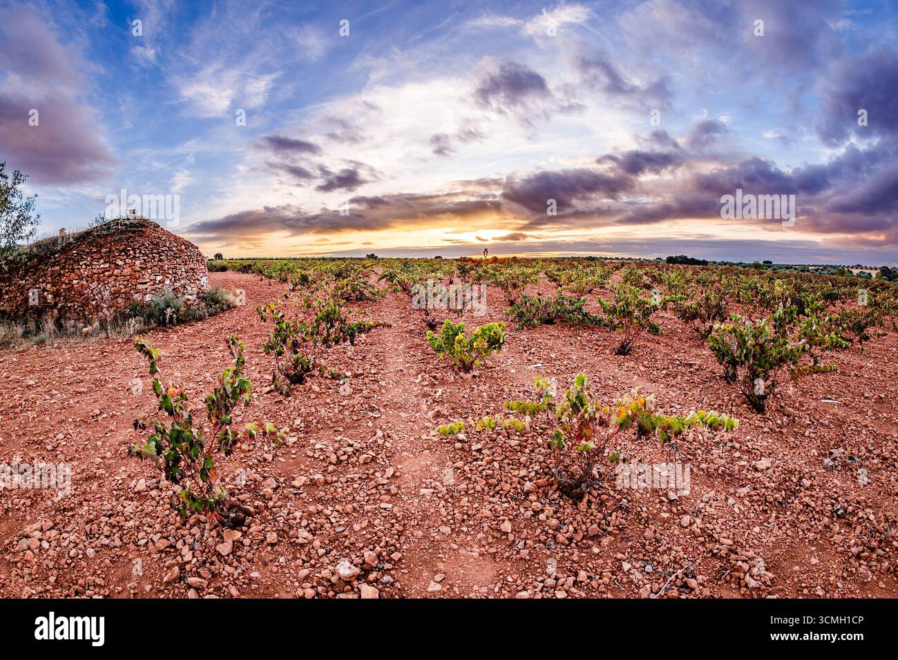 A broad view of a rural landscape at sunset, dominated by a large field ...