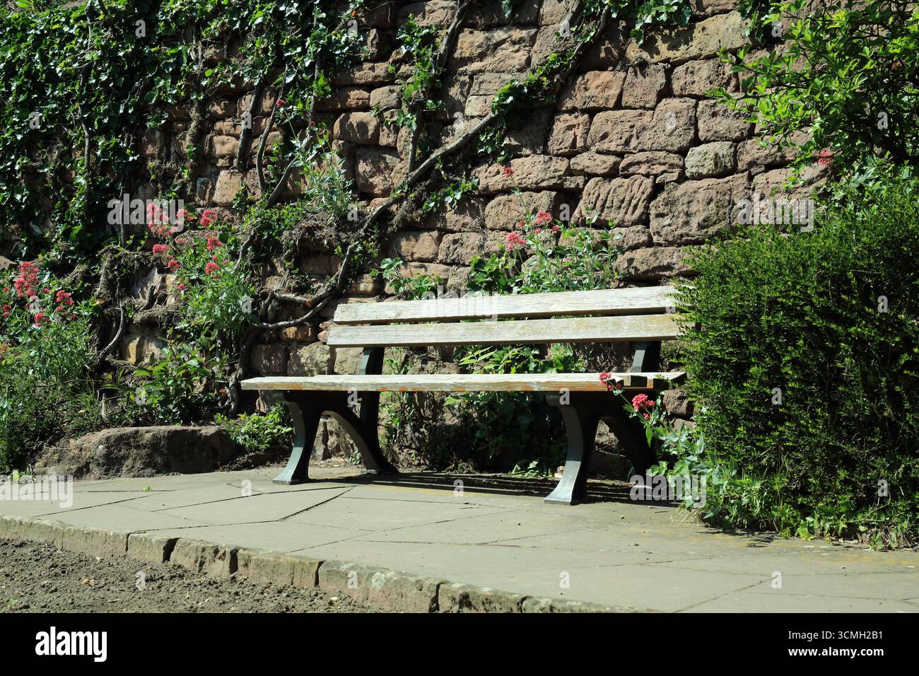 Wooden bench near flowers hi-res stock photography and images - Alamy