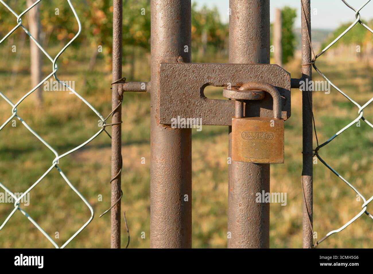 Horizontal photo of a metal gate with chain-link fence secured by a ...