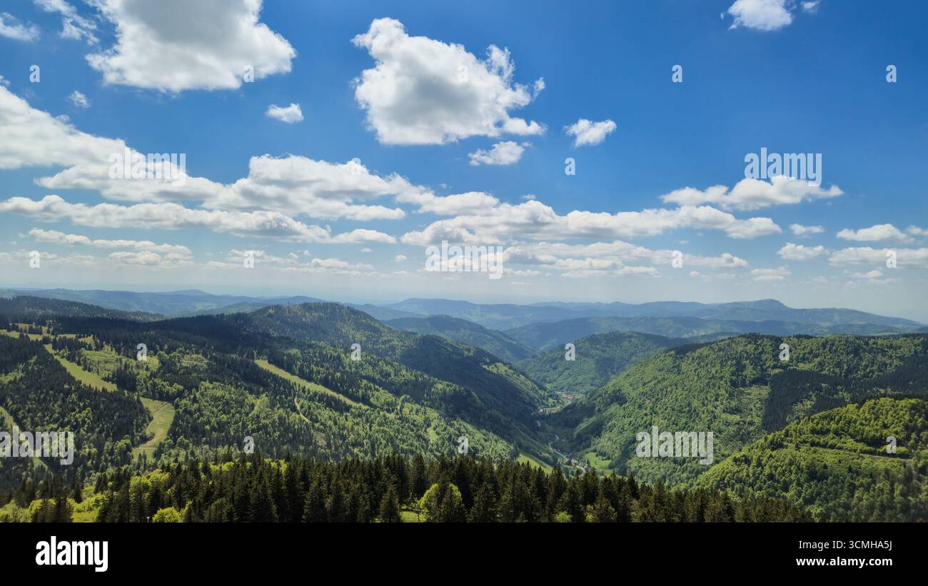 Layers of forest endless forest hi-res stock photography and images - Alamy