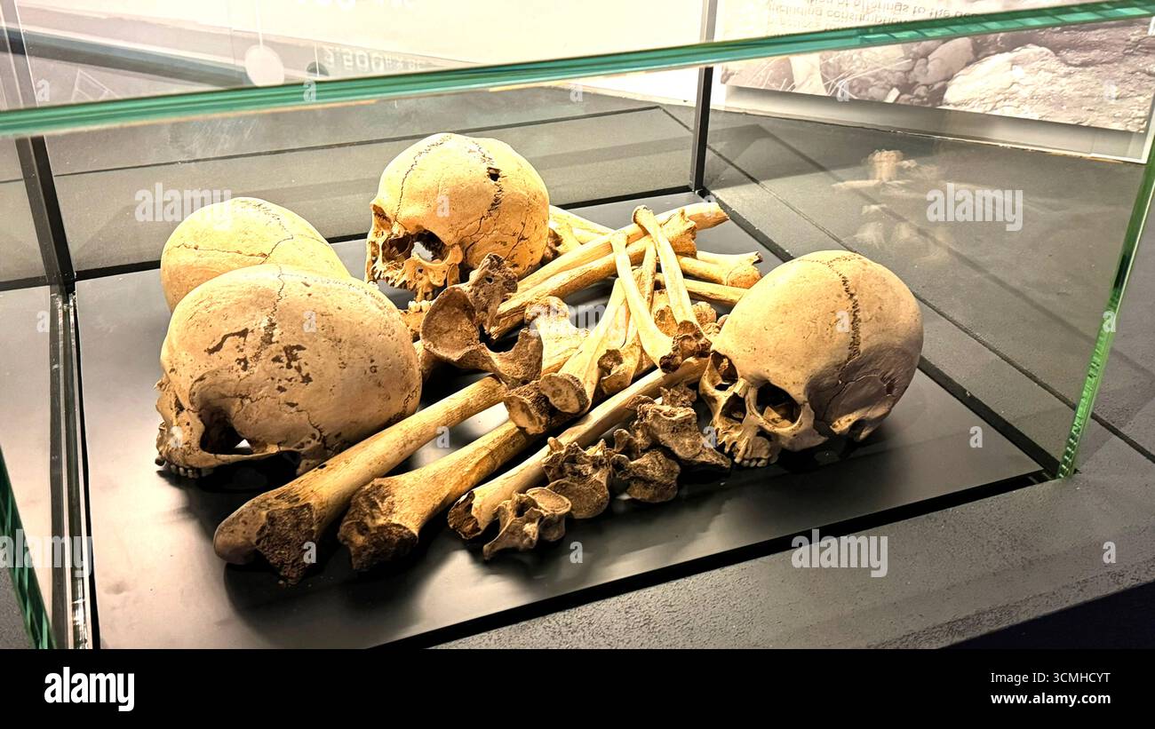 Human skull remains bone ribs hi-res stock photography and images - Alamy