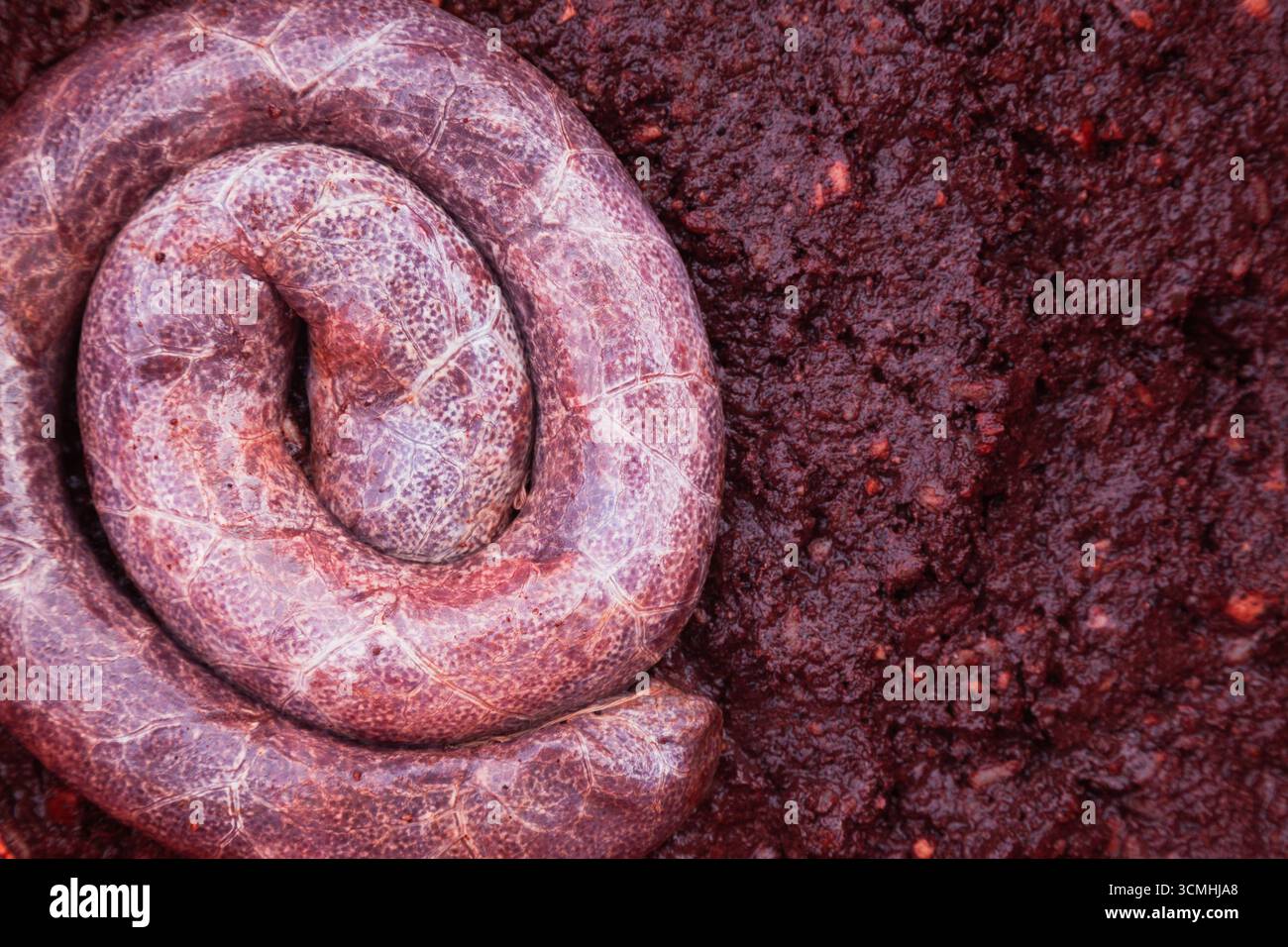 Clotted blood and spices hi-res stock photography and images - Alamy