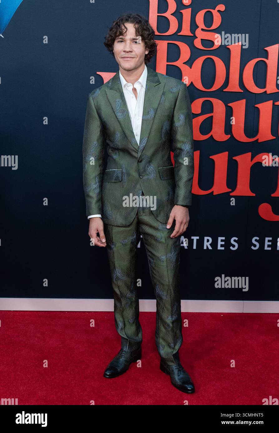 Simon Khan attends 'A Big Bold Beautiful Journey' film premiere at AMC ...