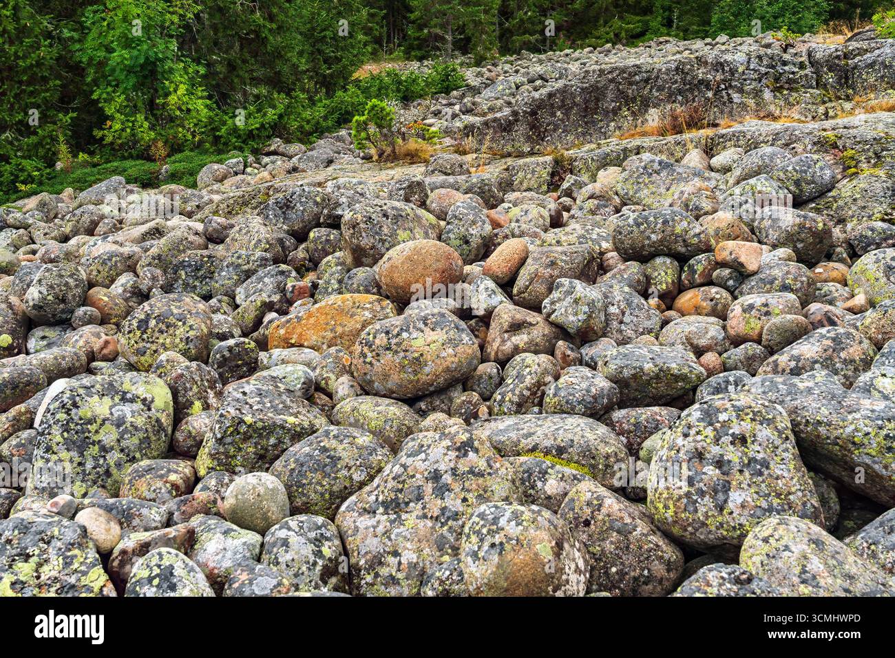 Rounded rocks of various sizes and colors, some covered in lichen ...