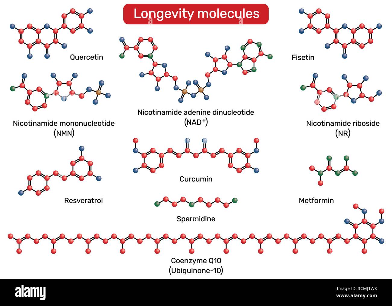 Longevity molecules. NAD+, nicotinamide mononucleotide (NMN ...