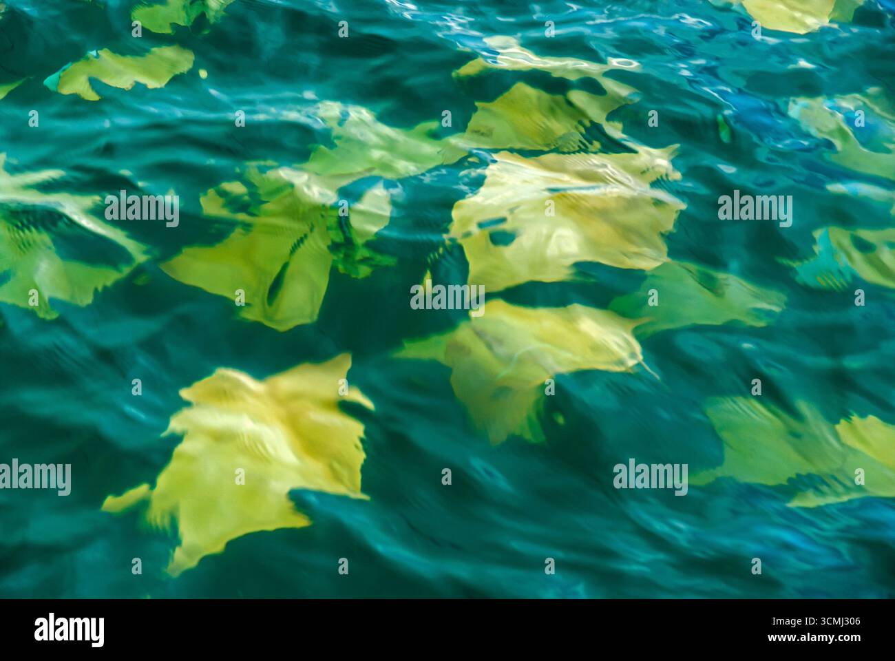 Yellow rays. Catoche Cape. Holbox, Quintana Roo, Mexico Stock Photo - Alamy