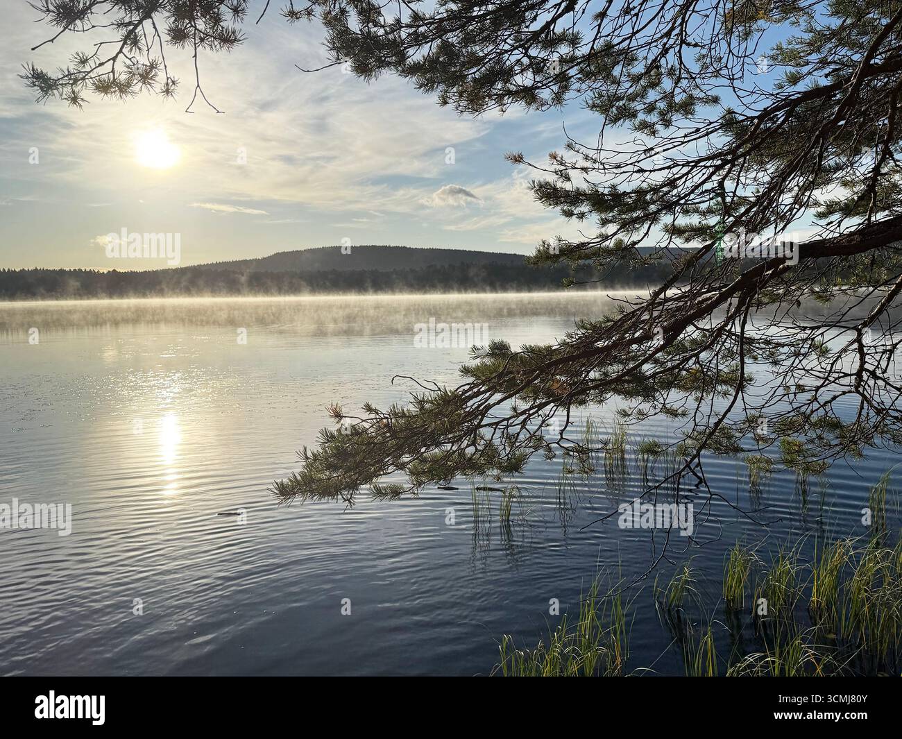 LOCH MALLACHIE in the Cairngorms National Park, Scotland. Photo: Tony ...