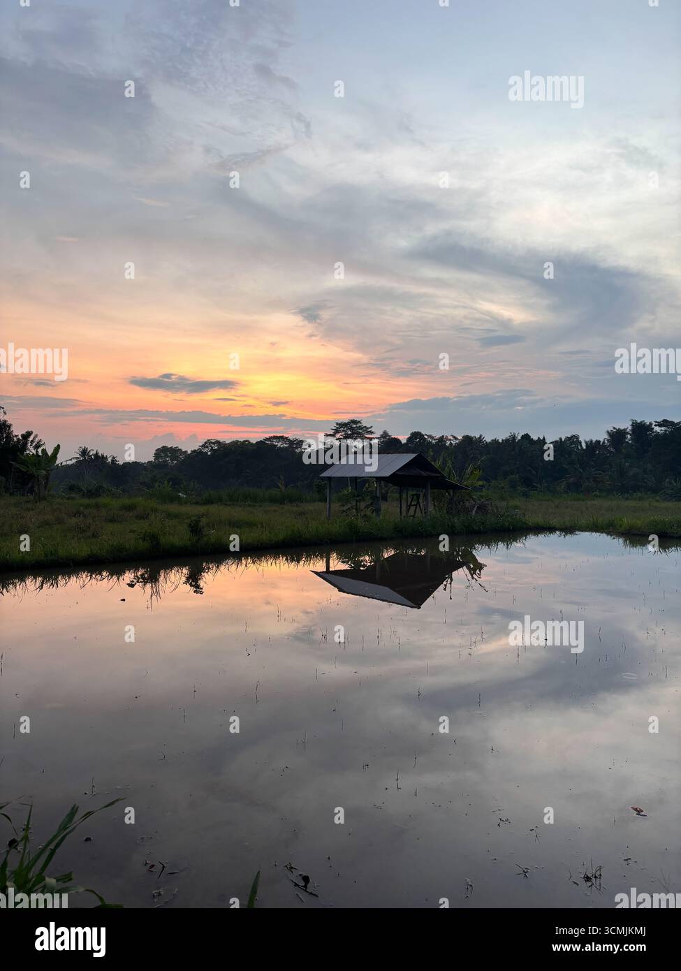 Wooden hut in rice fields hi-res stock photography and images - Alamy