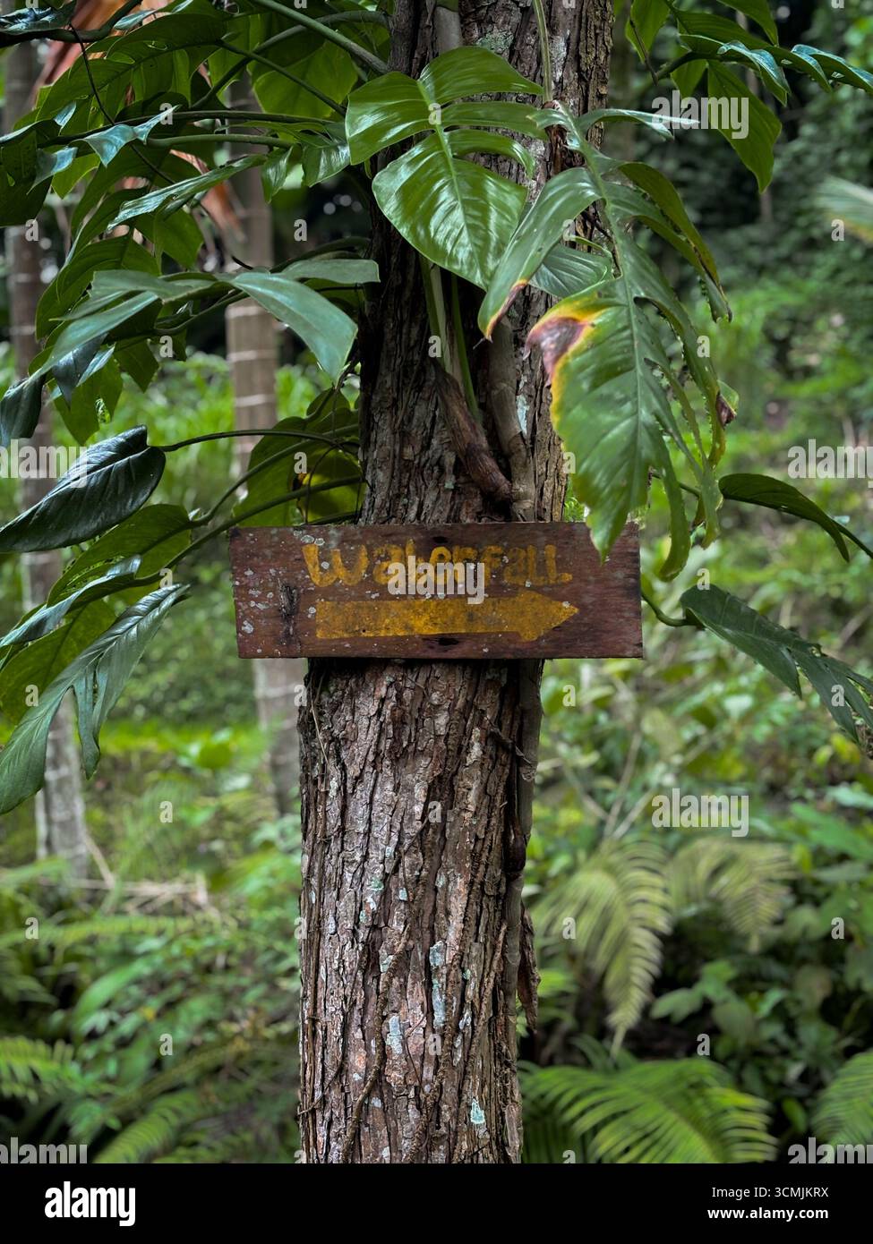 Sign surrounded by leaves indicating Tetebatu Waterfall in Tetebatu in ...