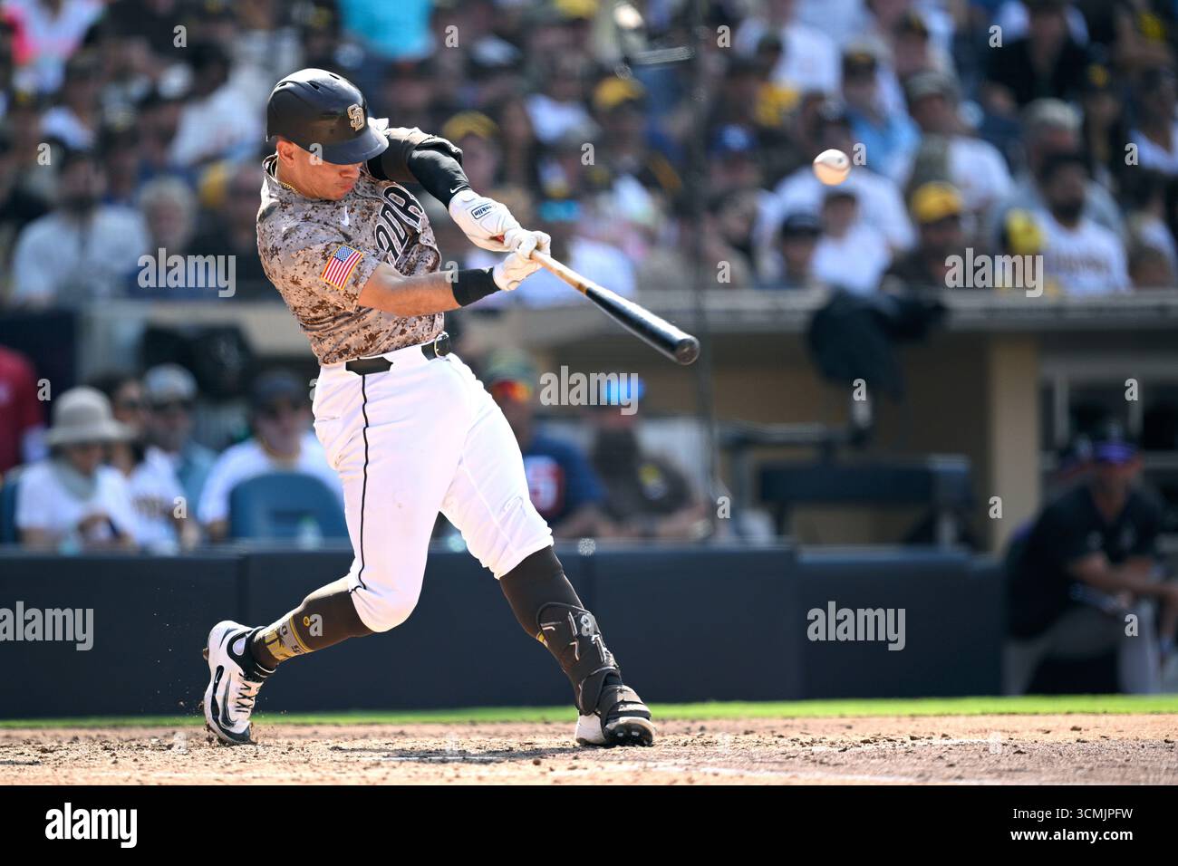 San Diego Padres' Freddy Fermin bats during the eighth inning of a ...