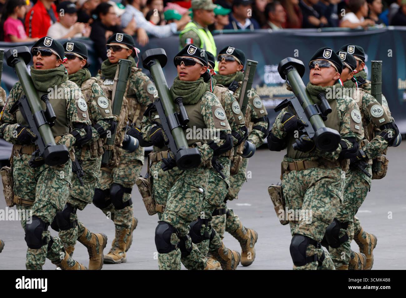 Members of the Mexican Armed Forces taking part during the military ...