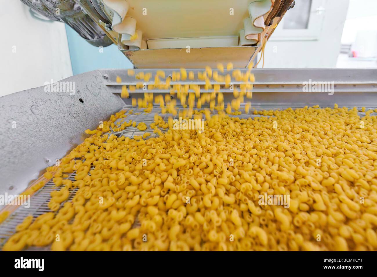 Vibrating sieve in pasta manufacturing plant processes fresh macaroni ...
