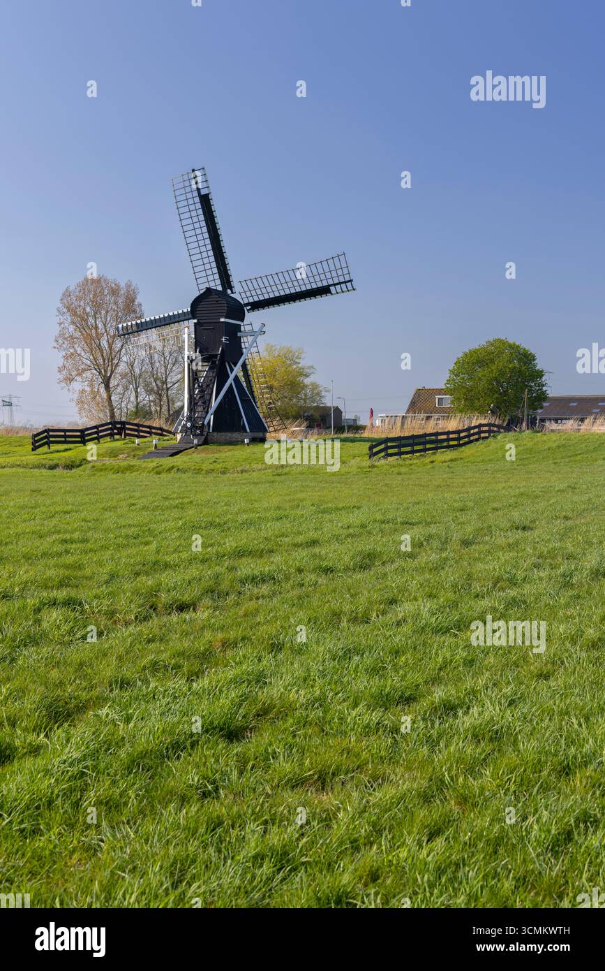 Black windmill standing in a green field in Akkrum, Friesland ...
