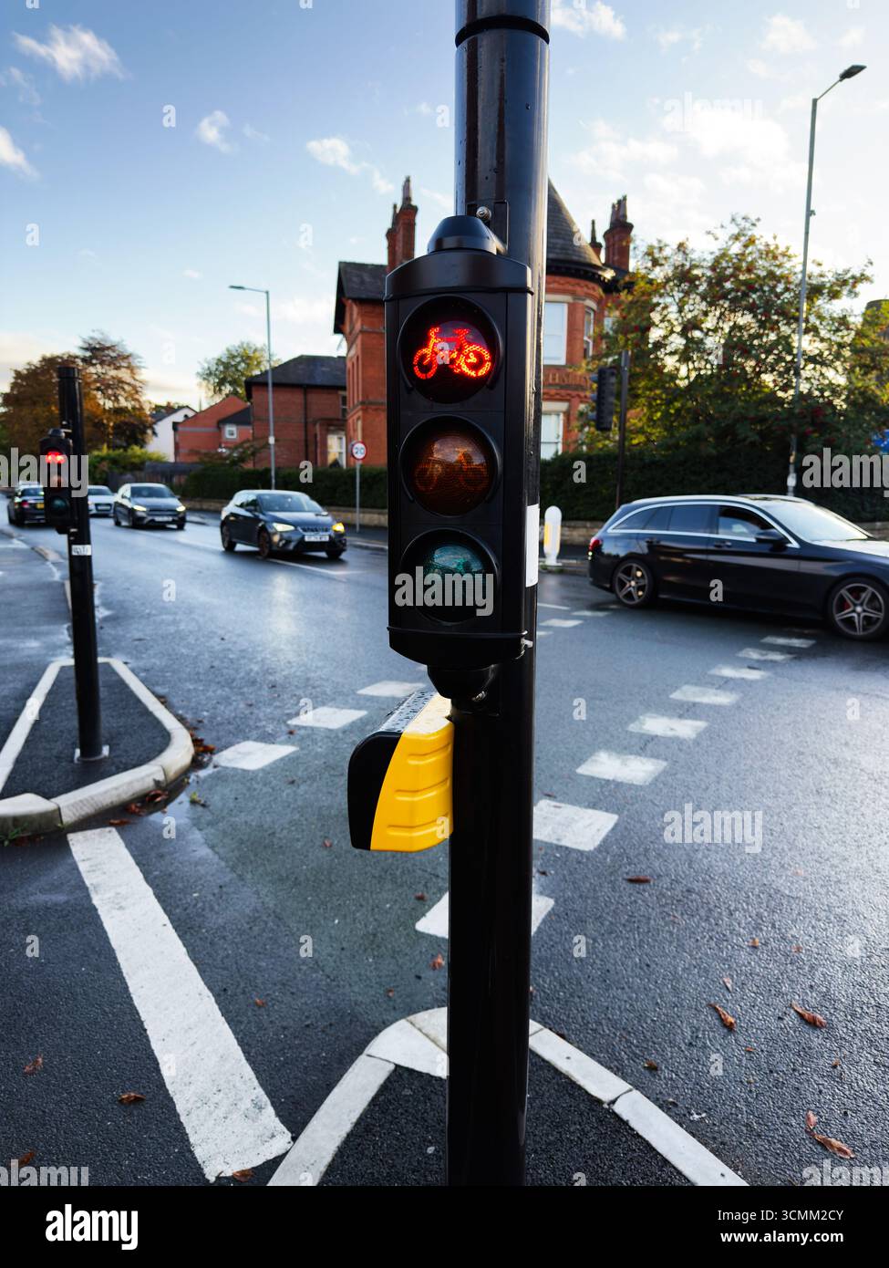 Traffic light for cyclists displayed in red at a road crossing in ...