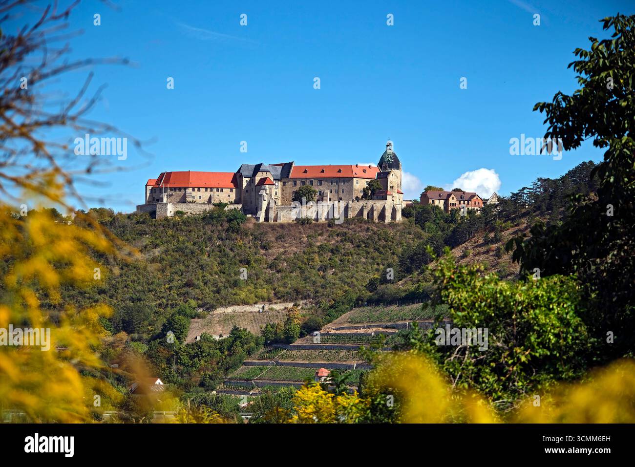 Schloss Neuenburg Freyburg . Schloss Neuenburg Freyburg ...