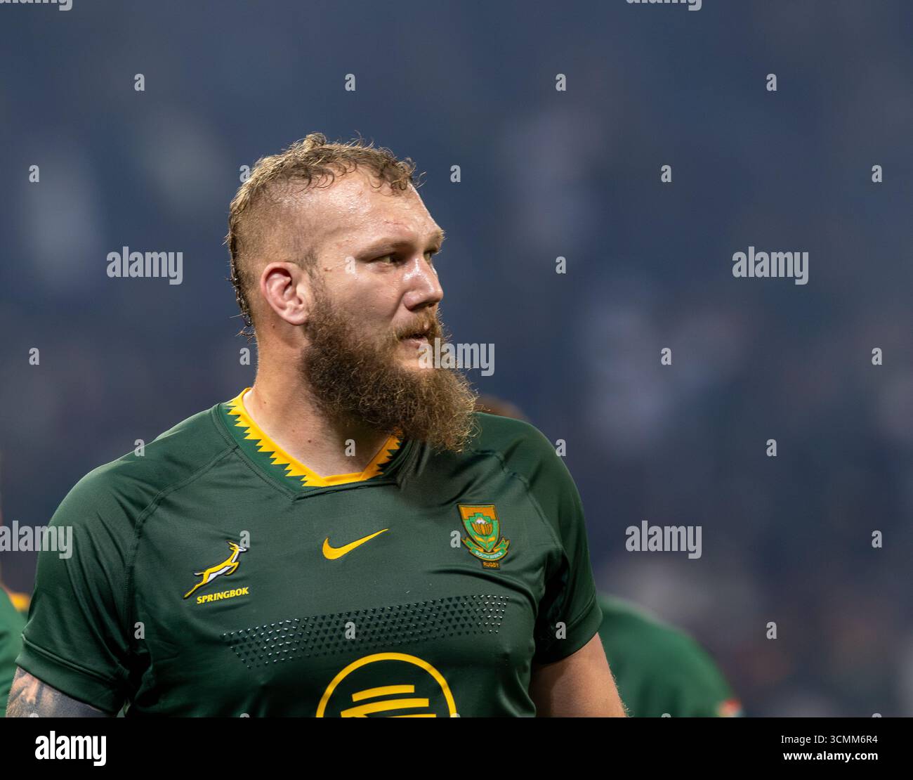 Portrait of Springbok lock and impact player RG Snyman known as "The ...