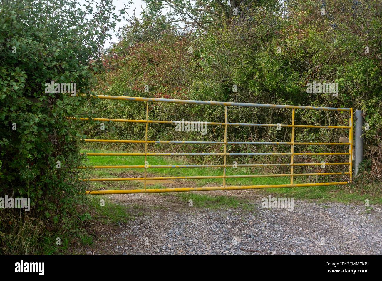 September 2025 - Yellow painted farm gates Stock Photo - Alamy