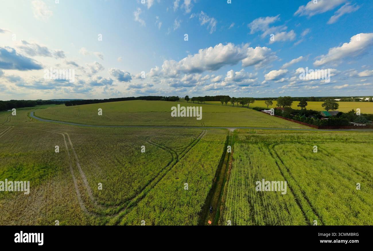 Drone captures expansive green forest hi-res stock photography and ...