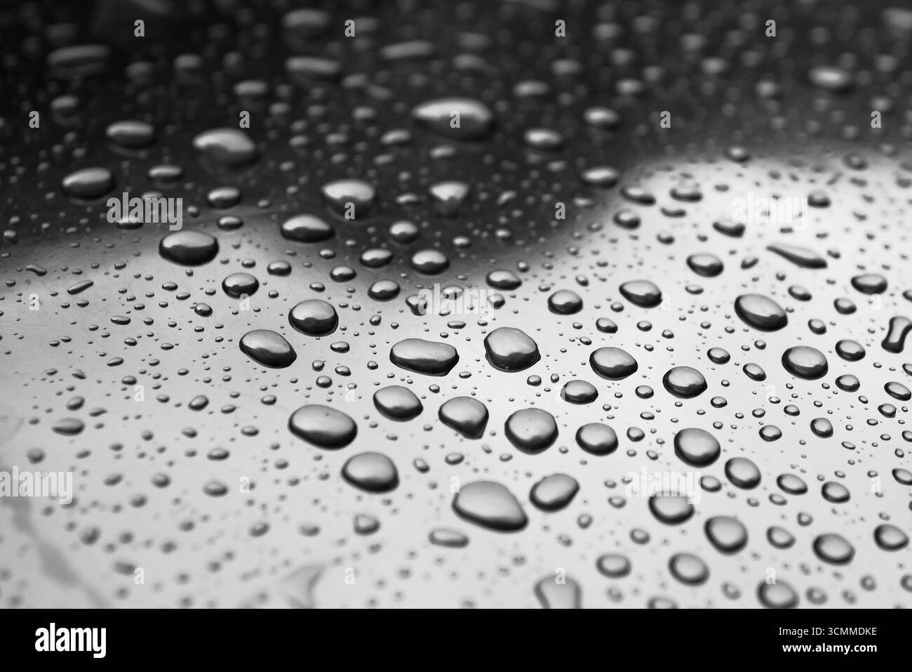 Splash tone Black and White Stock Photos & Images - Alamy